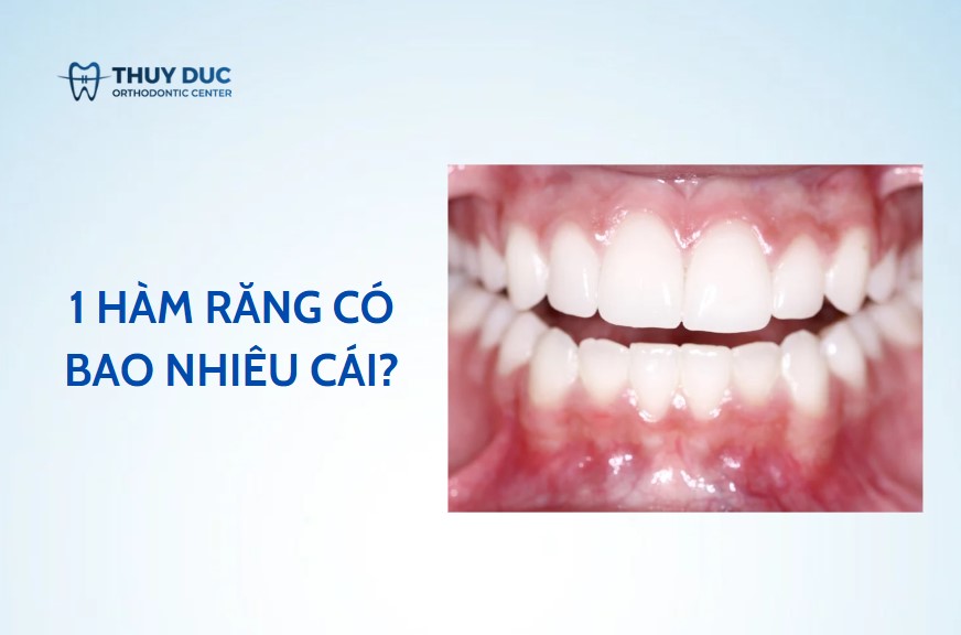 1 hàm răng có bao nhiêu cái? Ai nhiều răng nhất thế giới?